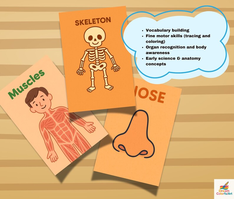 Printable Body Parts Flashcards for Preschool Montessori Learning ...