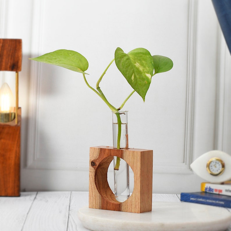 One Glass Container With Wodden Stand - Etsy