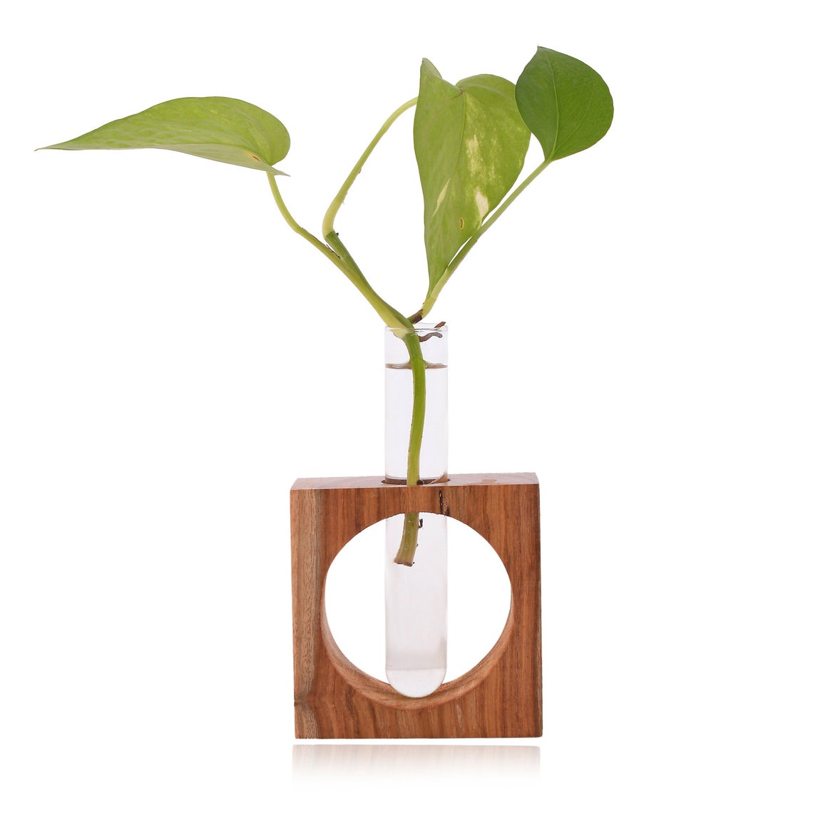 One Glass Container With Wodden Stand - Etsy