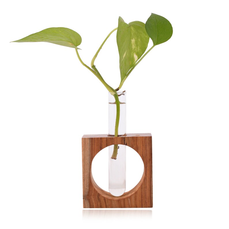 One Glass Container With Wodden Stand - Etsy