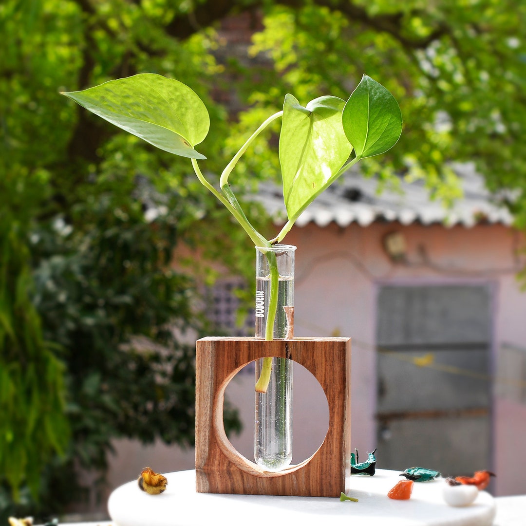 One Glass Container With Wodden Stand - Etsy