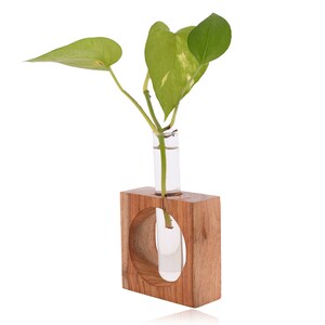 One Glass Container With Wodden Stand - Etsy