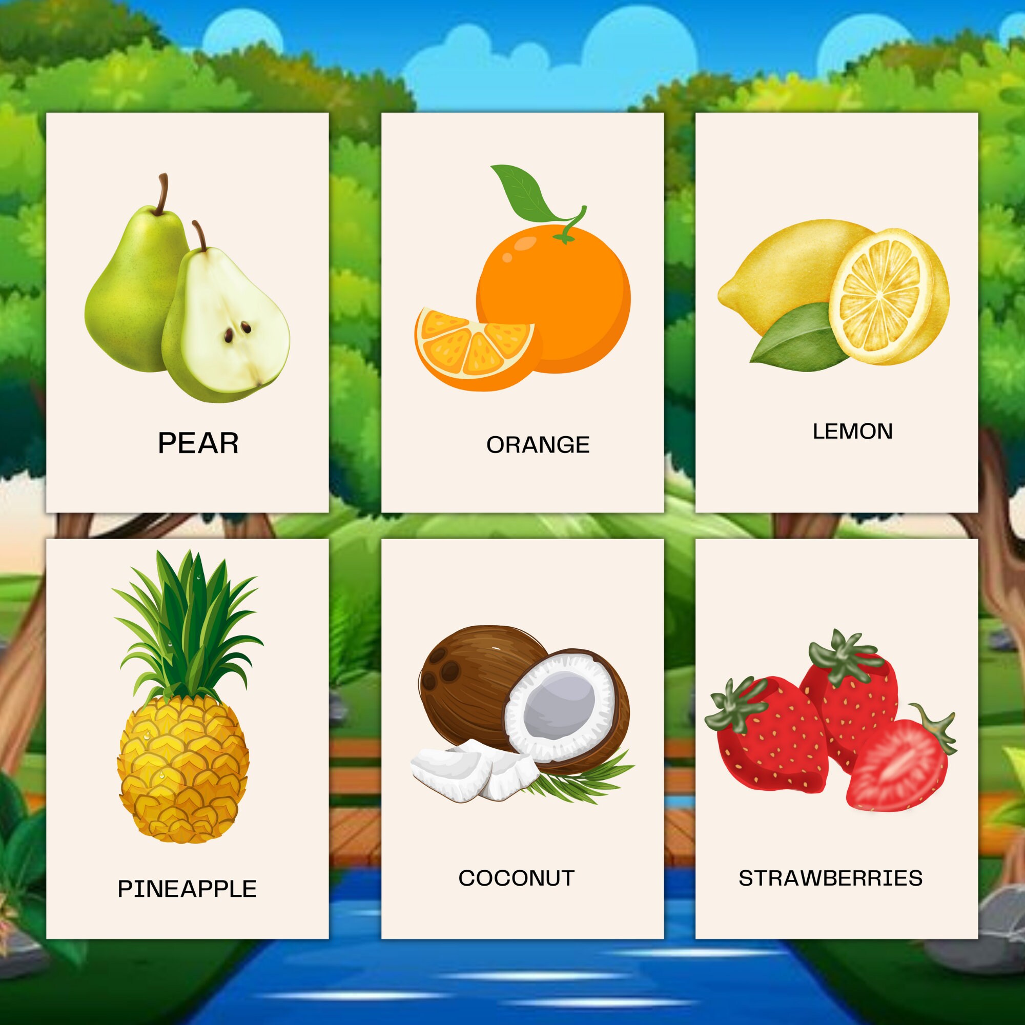 Fruit Flash Cards Flash Cards for Kids Nomenclature Cards - Etsy UK