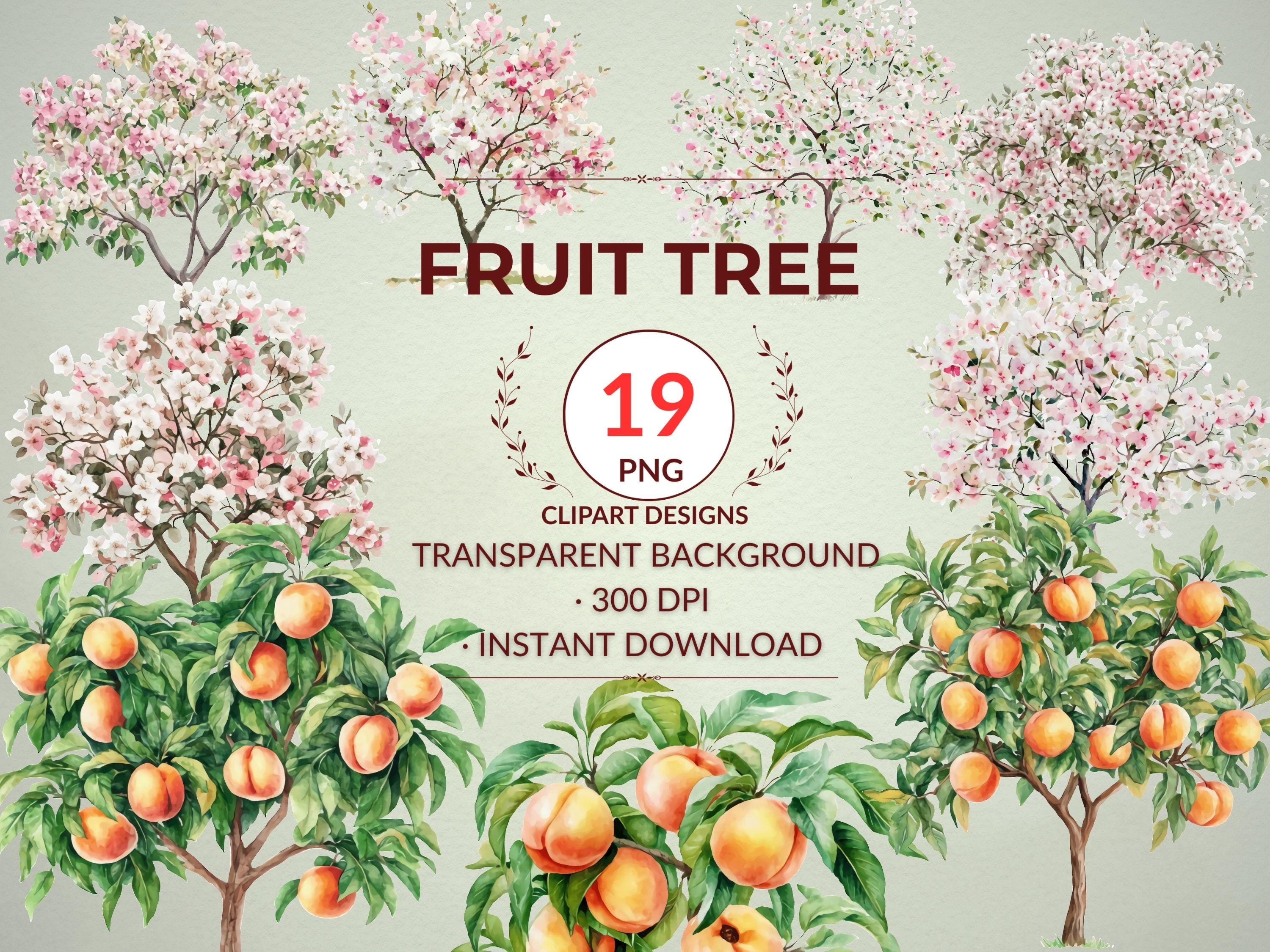 Fruit Trees Clipart Bundle Hand Painted Watercolor Citrus Peach Lemon ...