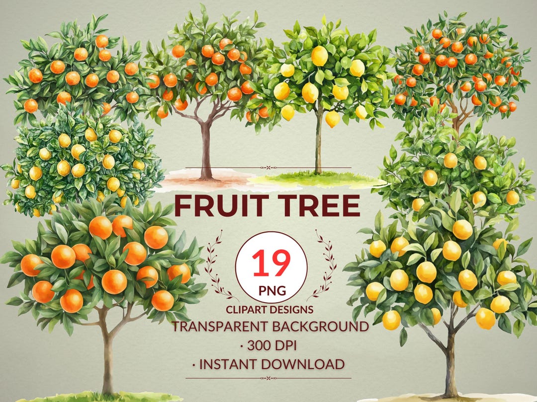 Fruit Trees Clipart Bundle Hand Painted Watercolor Citrus Peach Lemon ...