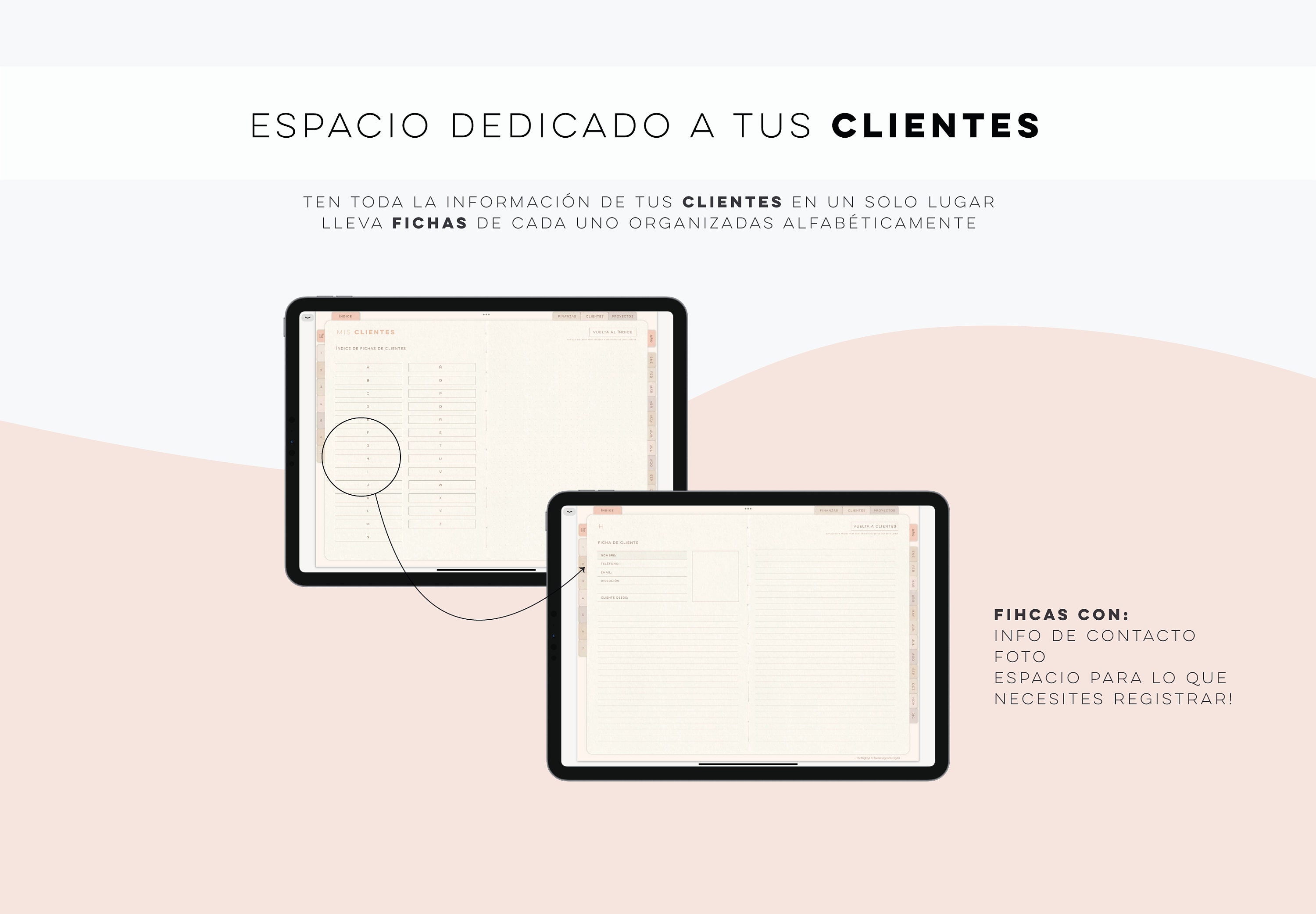Agenda Digital Profesional 2024, Digital Planner in Spanish, Goodnotes ...