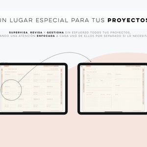 Agenda Digital Profesional 2024, Digital Planner in Spanish, Goodnotes ...