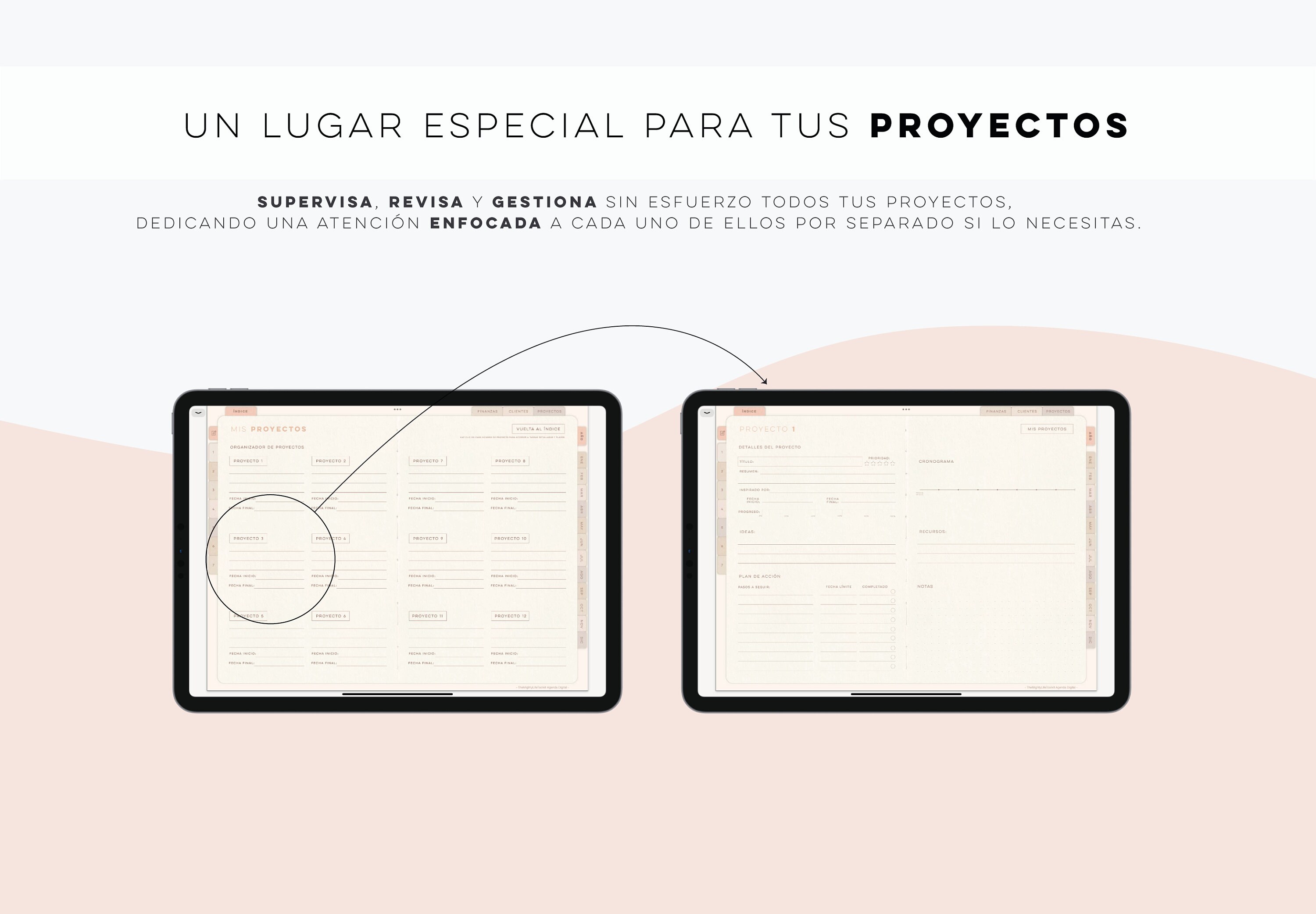 Agenda Digital Profesional 2024, Digital Planner in Spanish, Goodnotes ...