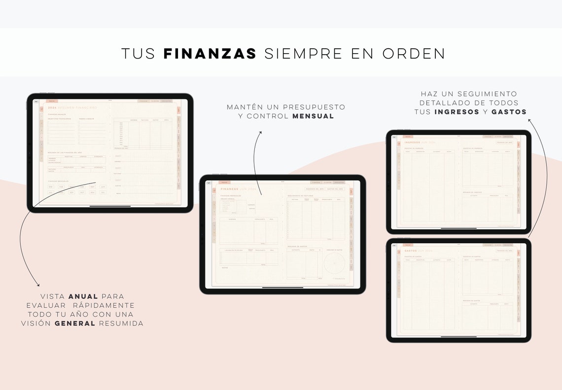Agenda Digital Profesional 2024, Digital Planner in Spanish, Goodnotes ...