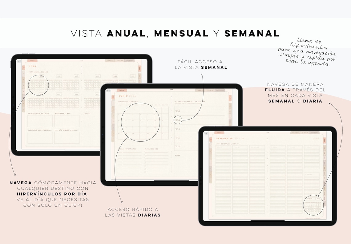 Agenda Digital Profesional 2024, Digital Planner in Spanish, Goodnotes ...