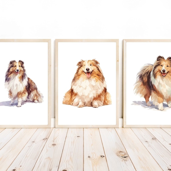 Sheltie Art - Etsy