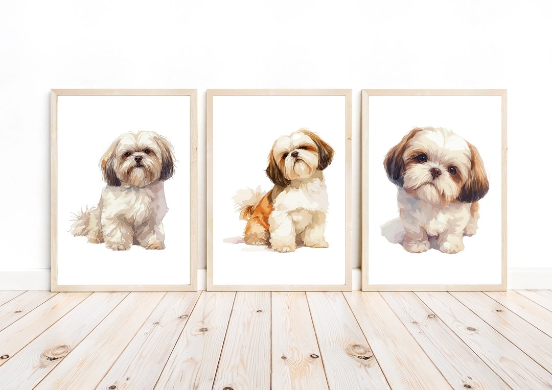 Shih Tzu Puppy Art, Pet Portrait Wall Decor, Shih Tzu Wall Art, Hand ...