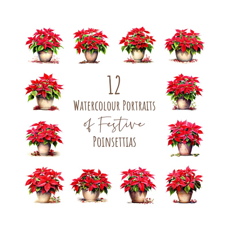 Poinsettia Watercolor Paintings for Instant Download for Print-on ...