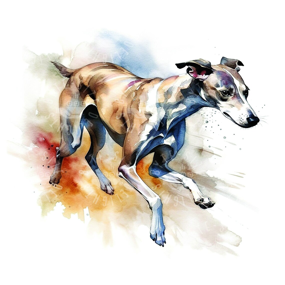 Whippet Watercolor Clipart, Ai Art Print, Instant Download for Print on ...