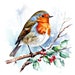 Festive Robin Watercolor Paintings for Instant Download for Print-on ...