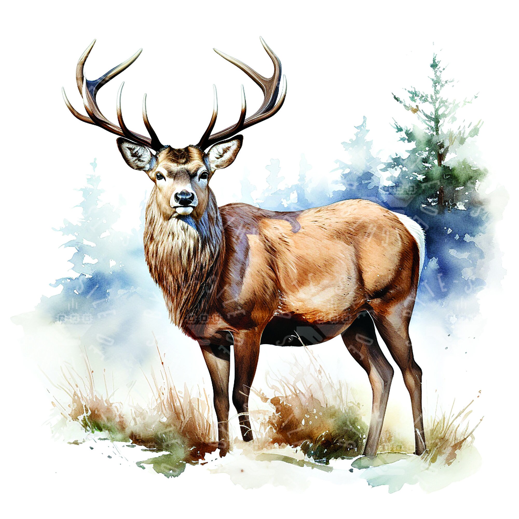 Reindeer Watercolor Paintings for Instant Download for Print-on-demand ...