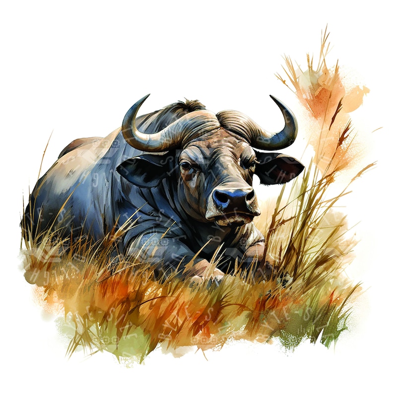 Buffalo Watercolor Clipart, Ai Art Print, Instant Download for Print on ...