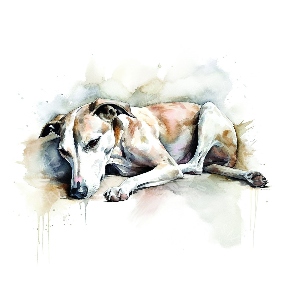 Whippet Watercolor Clipart, Ai Art Print, Instant Download for Print on ...