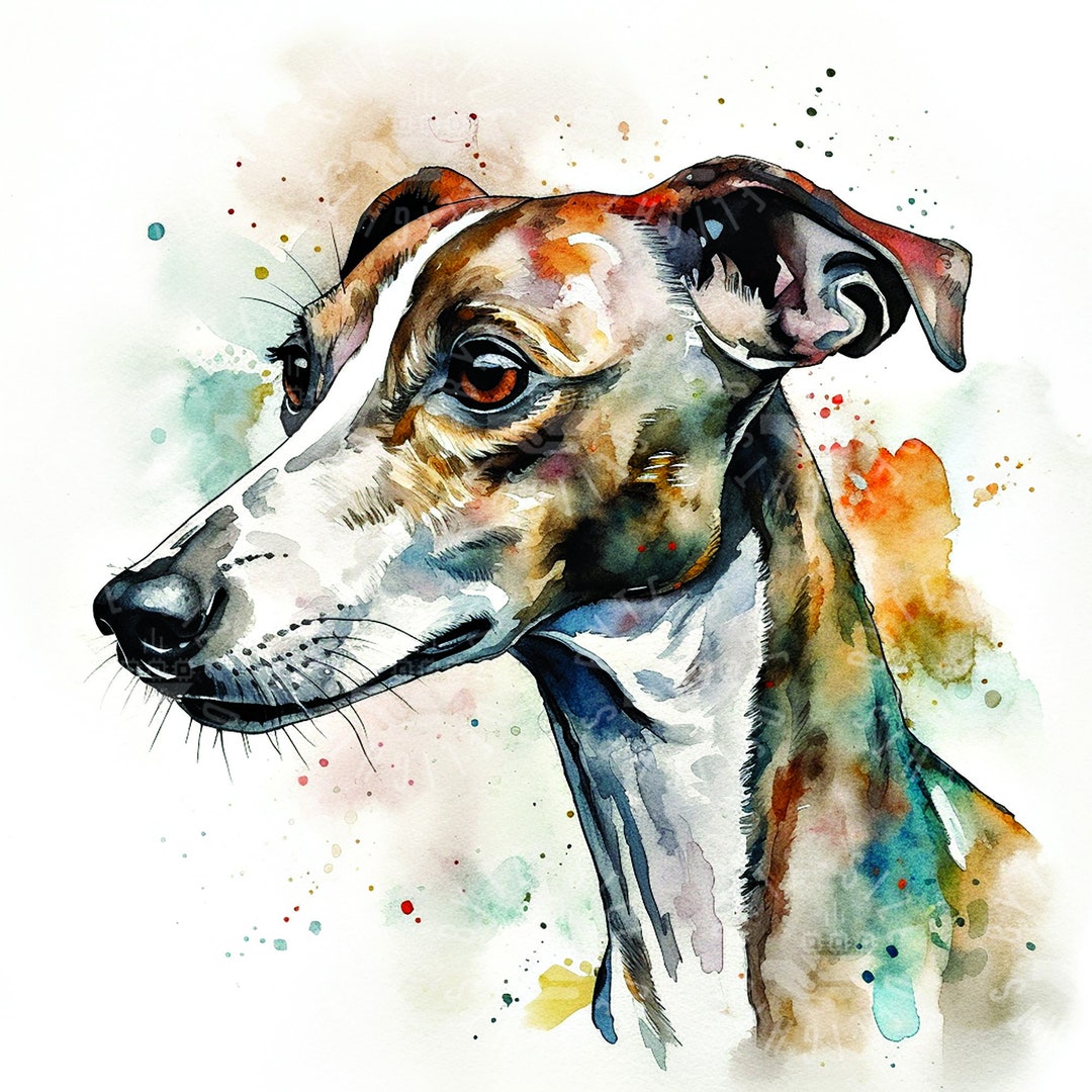 Whippet Watercolor Clipart, Ai Art Print, Instant Download for Print on ...