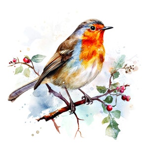 Festive Robin Watercolor Paintings for Instant Download for Print-on ...