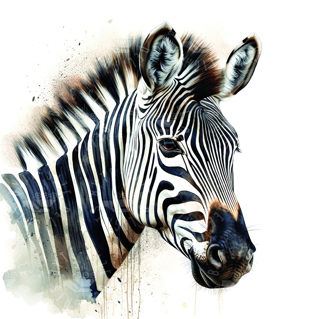 Zebra Watercolor Clipart, Ai Art Print, Instant Download for Print on ...