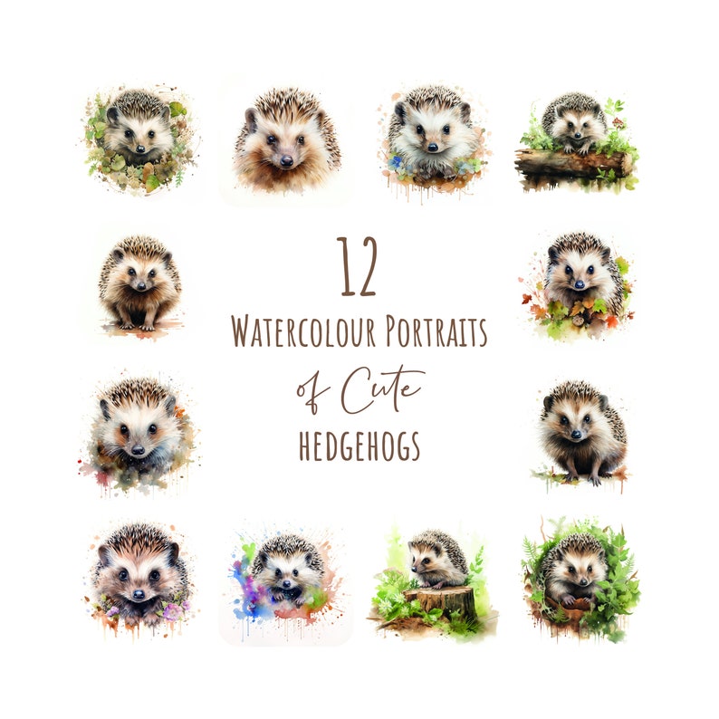 Hedgehog Watercolor Clipart, Ai Art Print, Instant Download for Print ...