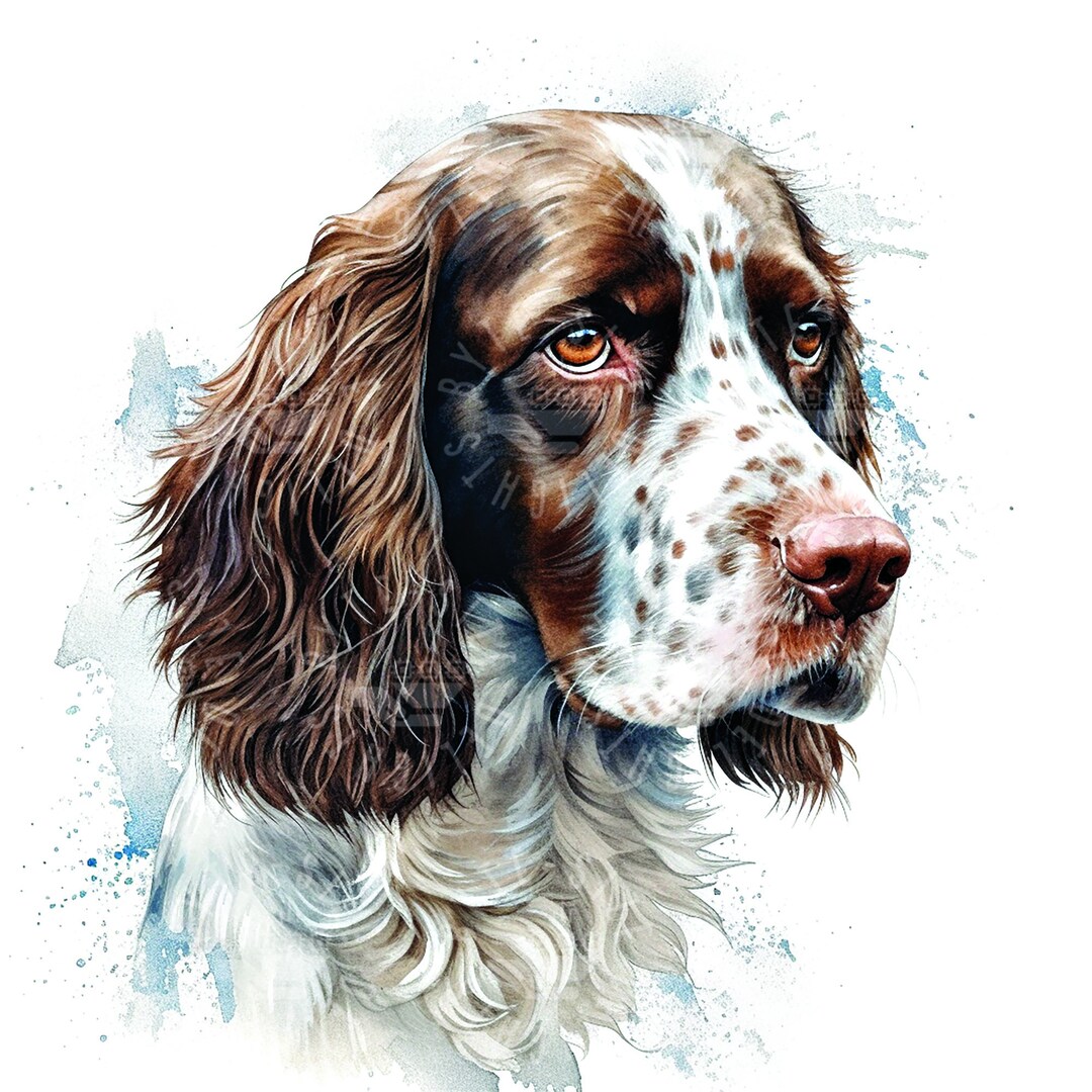 Springer Spaniel Watercolor Clipart, Ai Art Print, Instant Download for ...