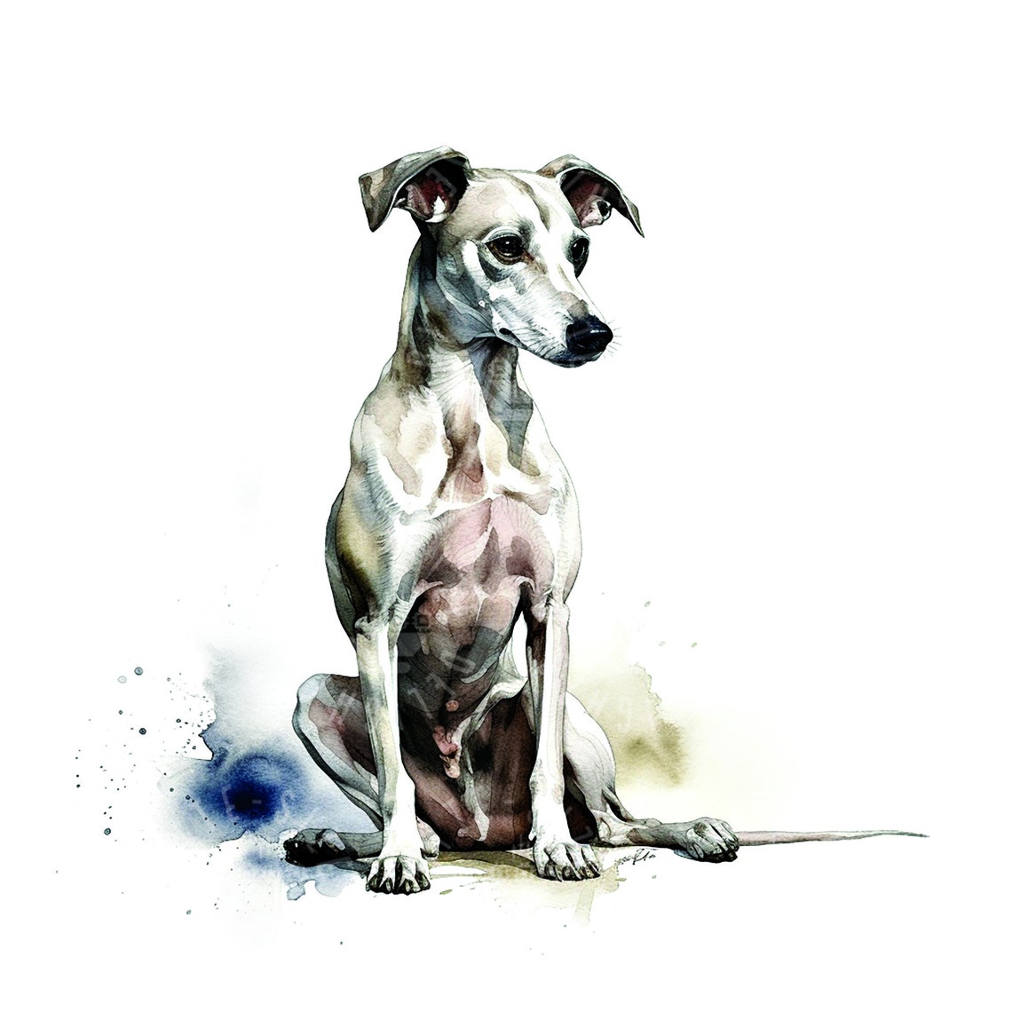 Whippet Watercolor Clipart, Ai Art Print, Instant Download for Print on ...