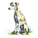 Whippet Watercolor Clipart, Ai Art Print, Instant Download for Print on ...