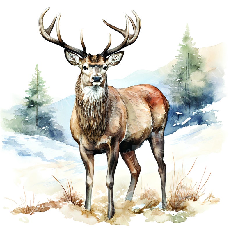 Reindeer Watercolor Paintings for Instant Download for Print-on-demand ...