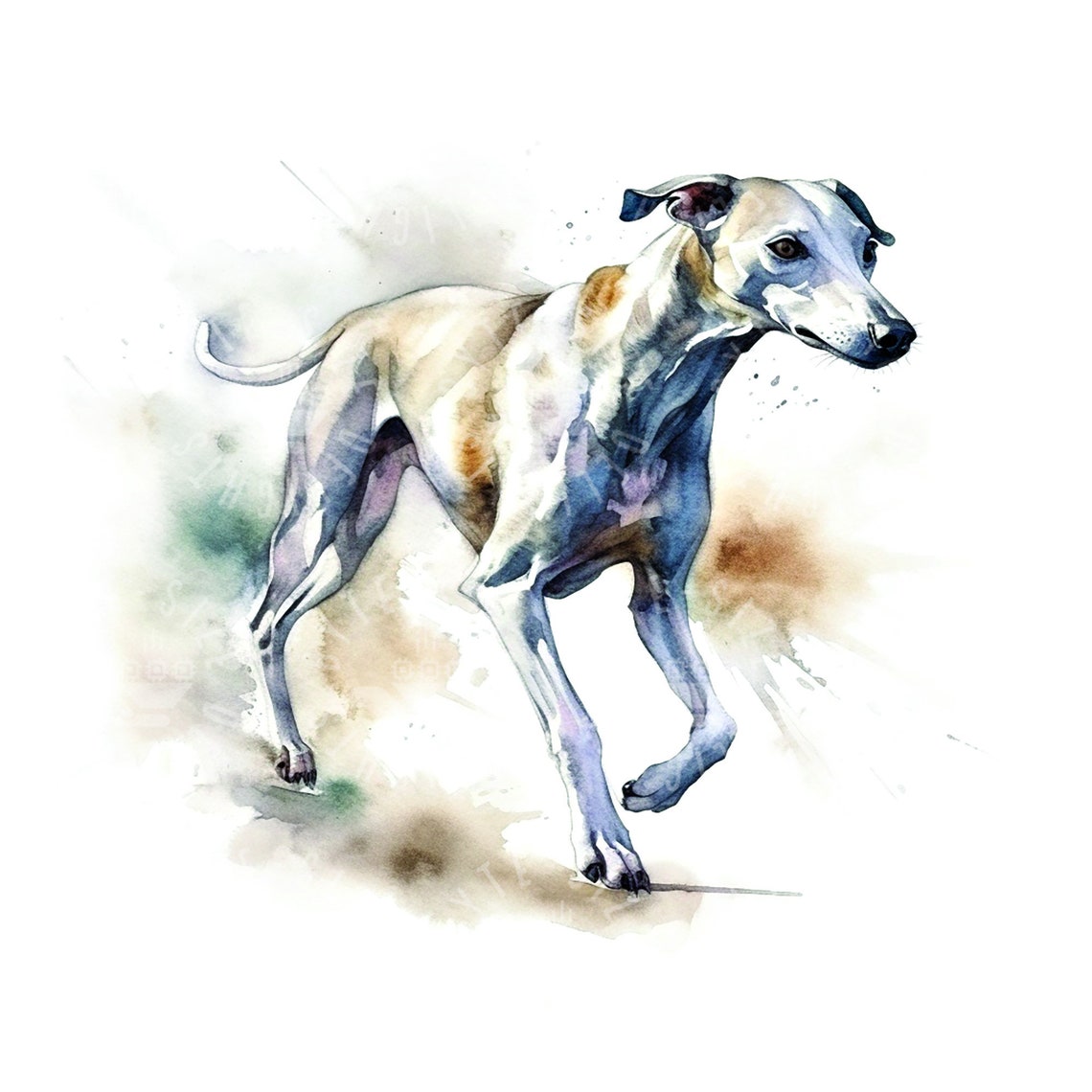 Whippet Watercolor Clipart, Ai Art Print, Instant Download for Print on ...