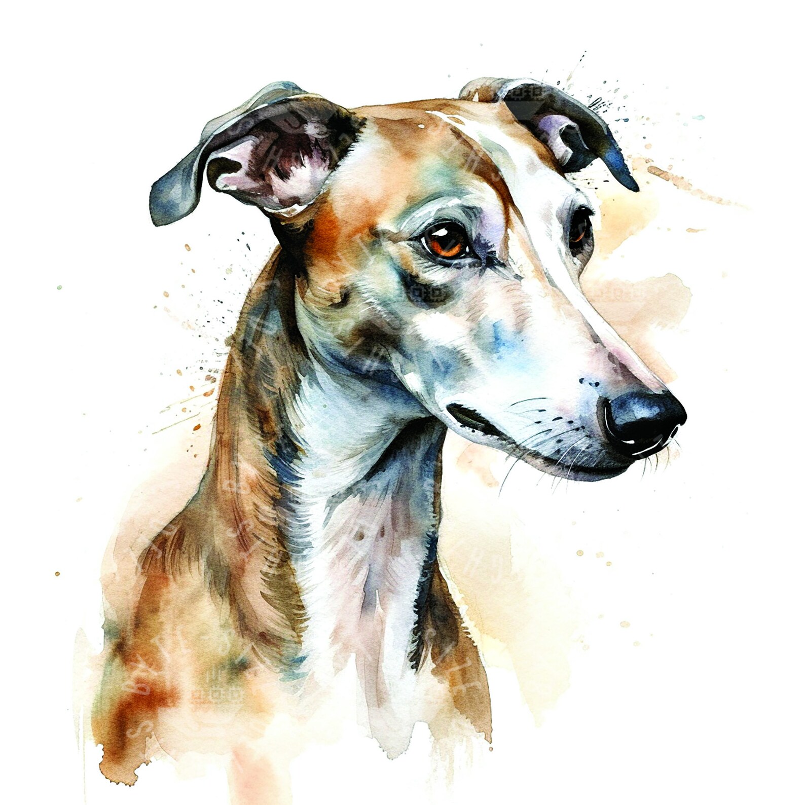 Whippet Watercolor Clipart, Ai Art Print, Instant Download for Print on ...