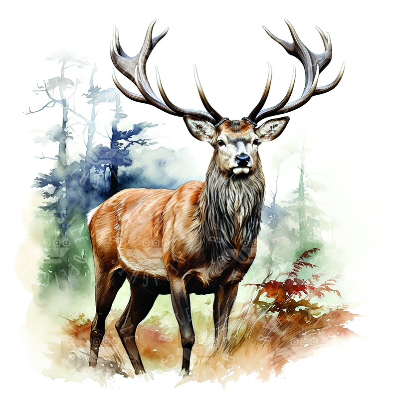 Reindeer Watercolor Paintings for Instant Download for Print-on-demand ...