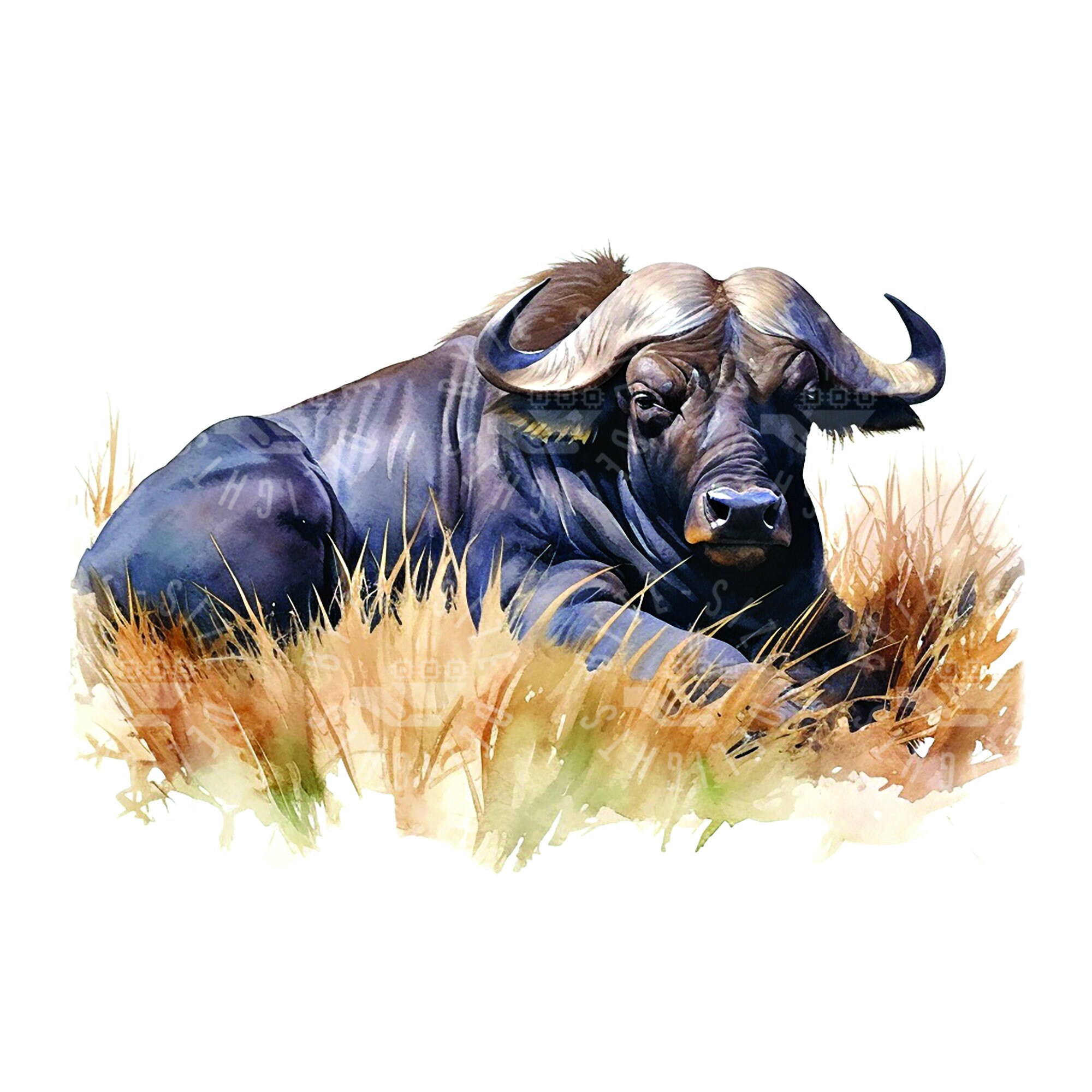 Buffalo Watercolor Clipart Ai Art Print Instant Download for - Etsy