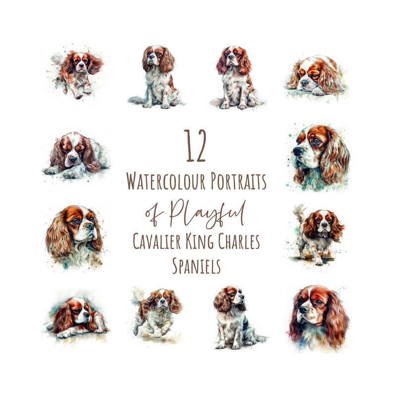 King Charles Spaniel Watercolor Clipart, Ai Art Print, Instant Download ...