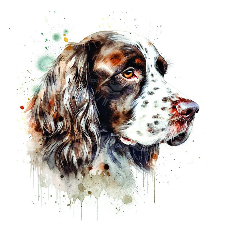 Springer Spaniel Watercolor Clipart, Ai Art Print, Instant Download for ...