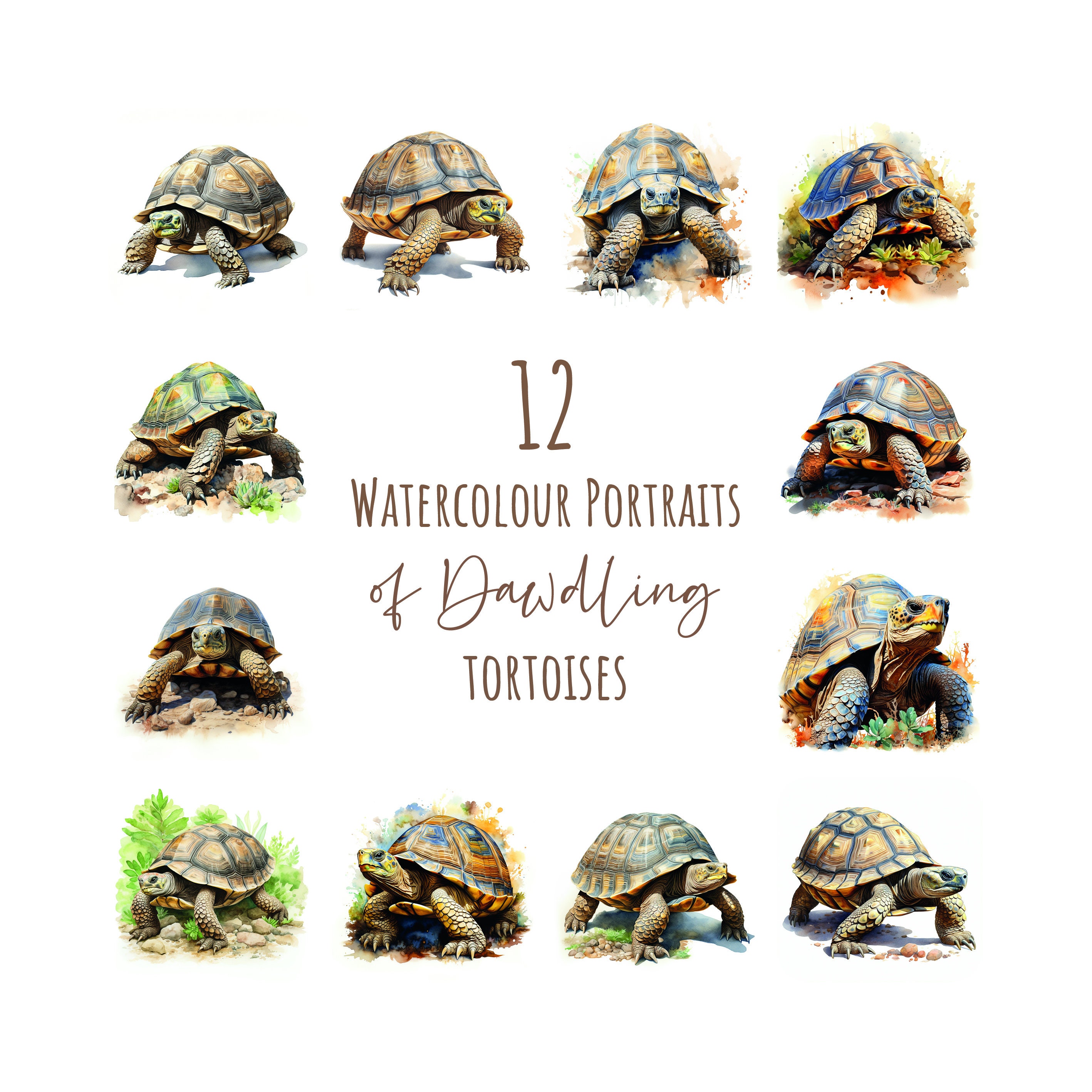 Tortoise Watercolor Clipart Ai Art Print Instant Download - Etsy
