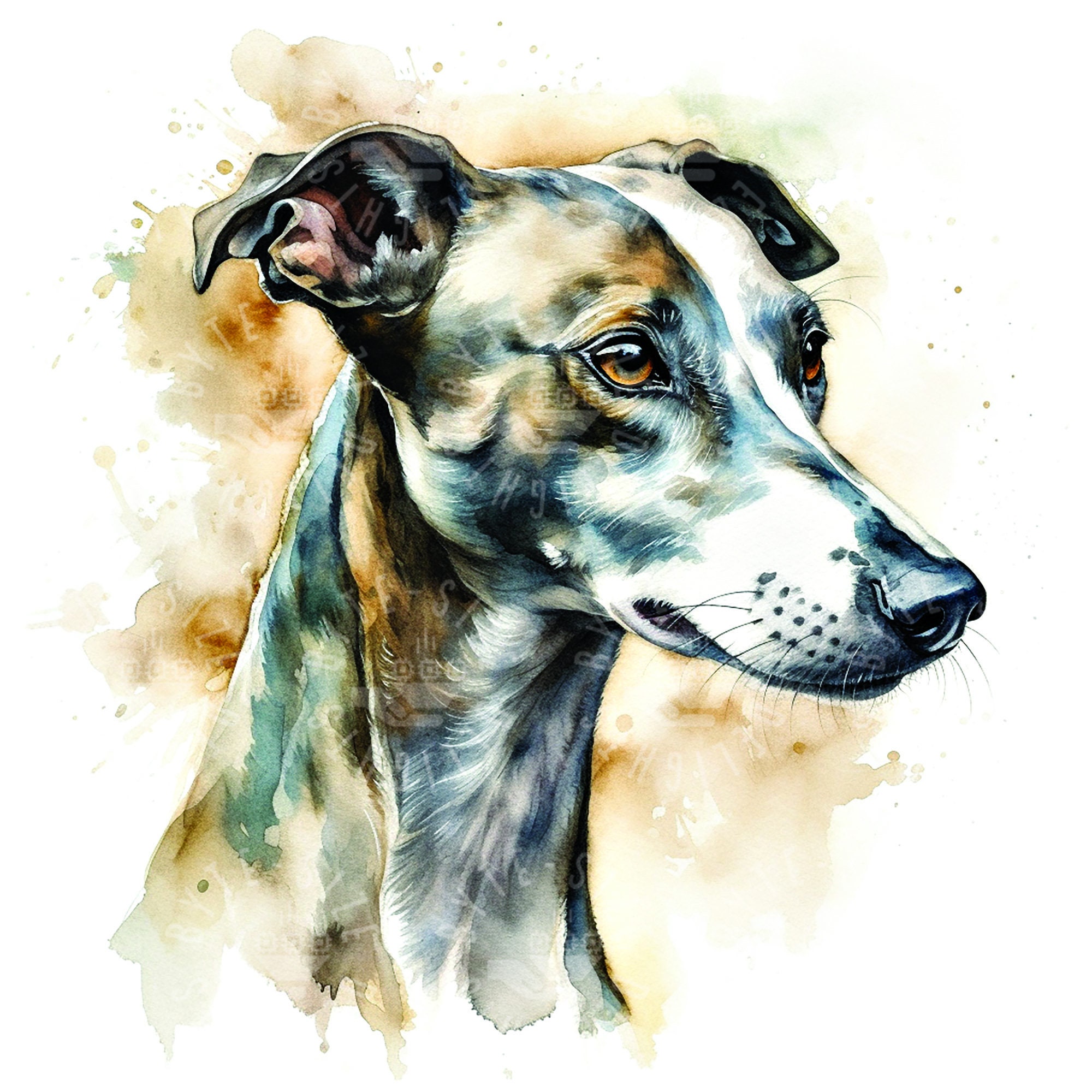 Whippet Watercolor Clipart, Ai Art Print, Instant Download for Print on ...