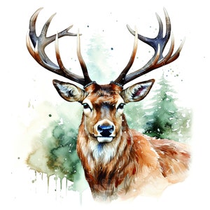 Reindeer Watercolor Paintings for Instant Download for Print-on-demand ...