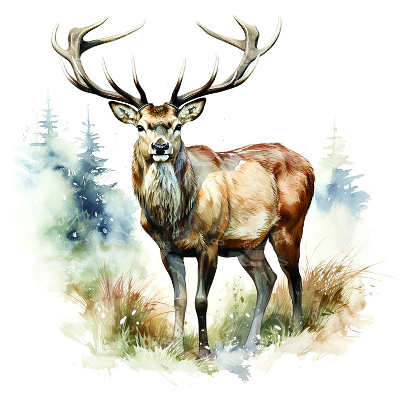 Reindeer Watercolor Paintings for Instant Download for Print-on-demand ...
