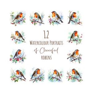 Festive Robin Watercolor Paintings for Instant Download for Print-on ...