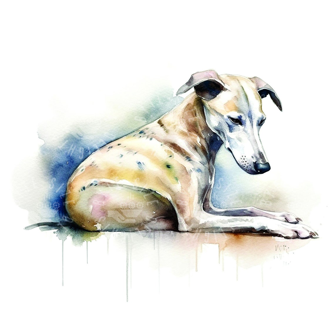 Whippet Watercolor Clipart, Ai Art Print, Instant Download for Print on ...
