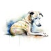 Whippet Watercolor Clipart, Ai Art Print, Instant Download for Print on ...