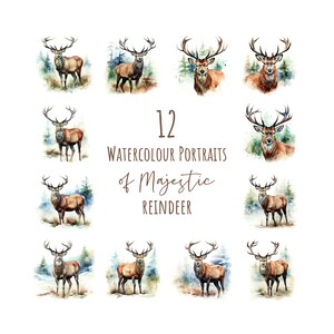 Reindeer Watercolor Paintings for Instant Download for Print-on-demand ...