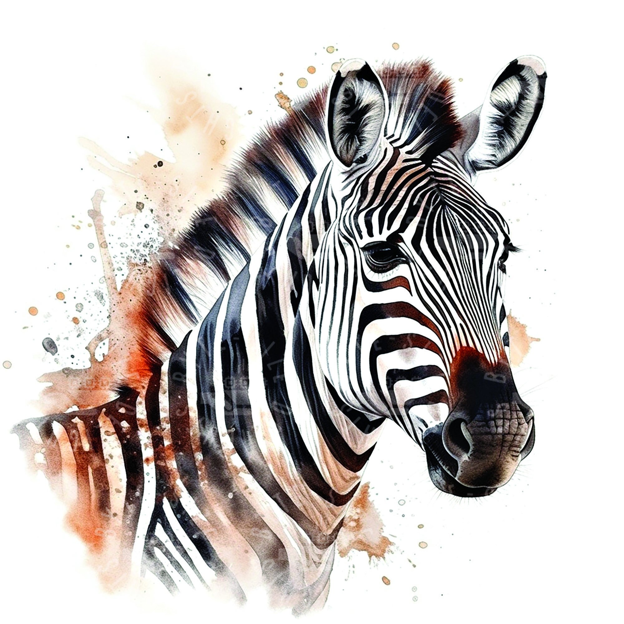 Zebra Watercolor Clipart, Ai Art Print, Instant Download for Print on ...