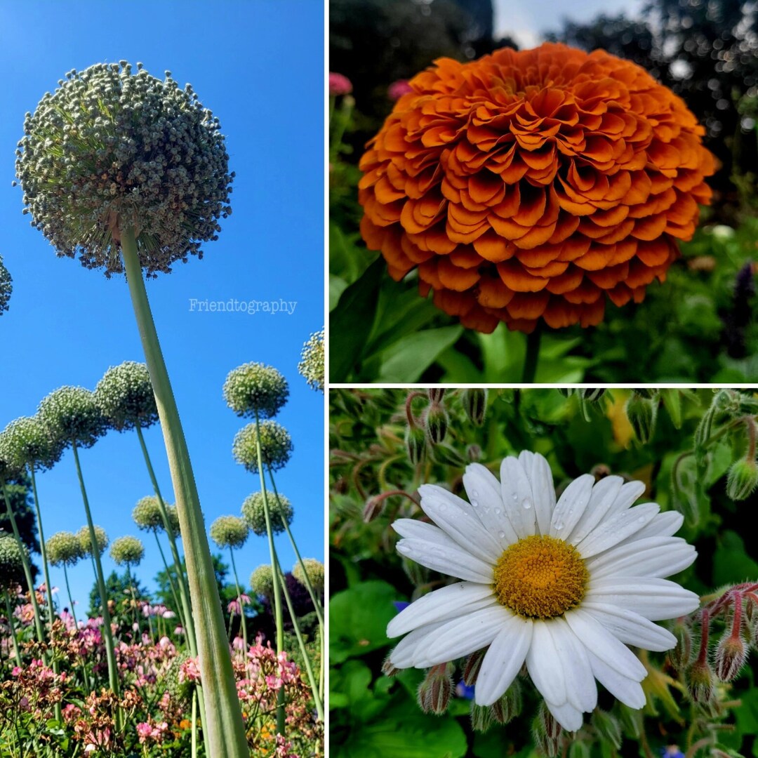 Fantasy Flowers 1K Followers Special HD Digital Download - Etsy