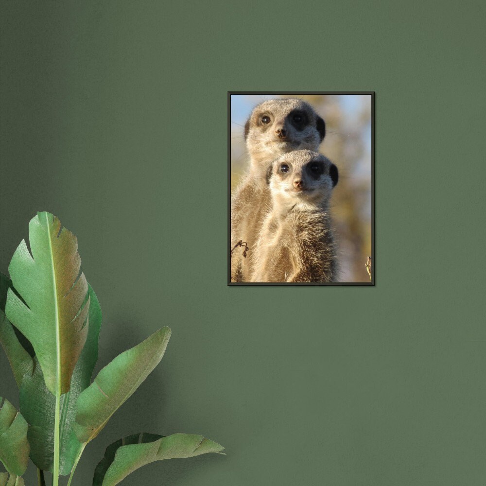 Cute Meerkats Print. Premium Matte Paper Metal Framed Poster. - Etsy