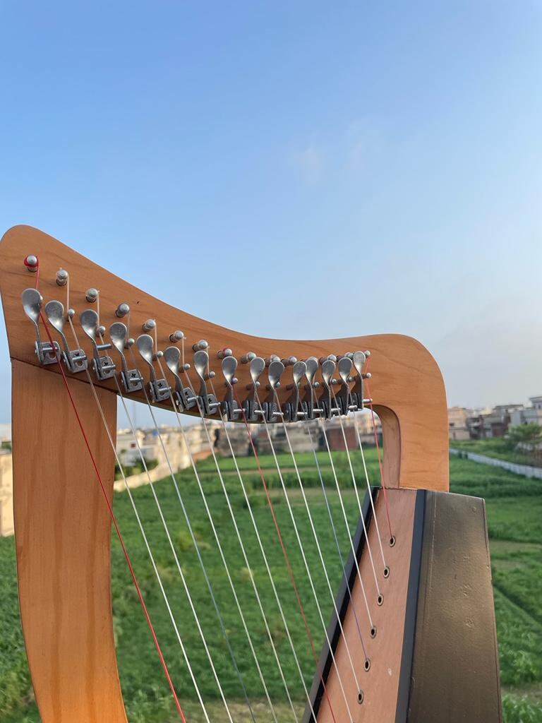 Rosewood Irish Lyre Lever Harp 15 Strings Lever Harp Free Carry Bag ...