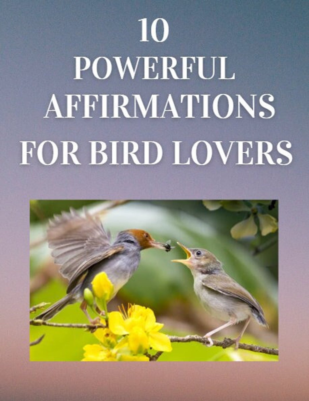 10 Powerful Affirmations for Bird Lovers - Etsy