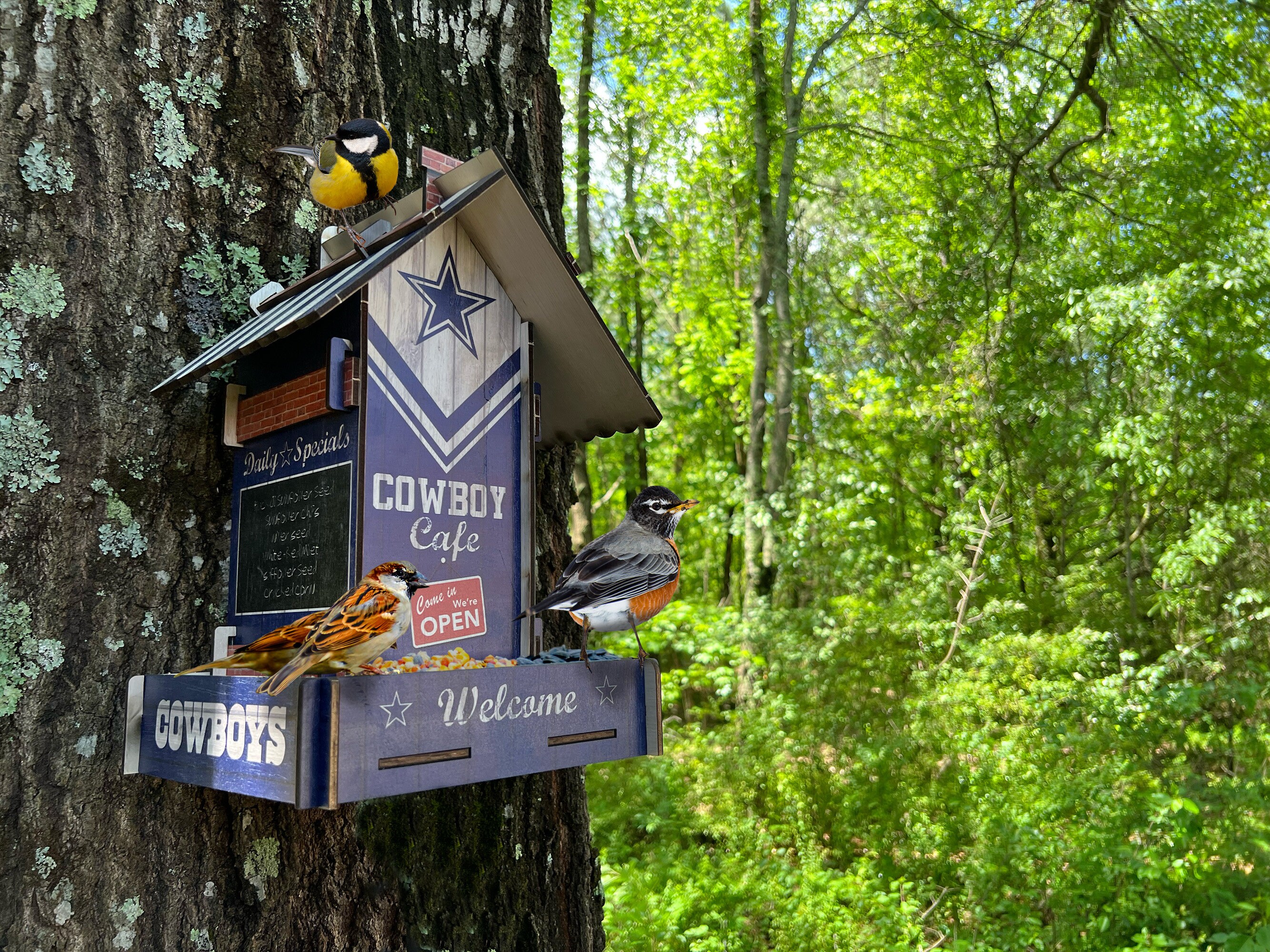 NFL Themed Birdfeeder - Etsy
